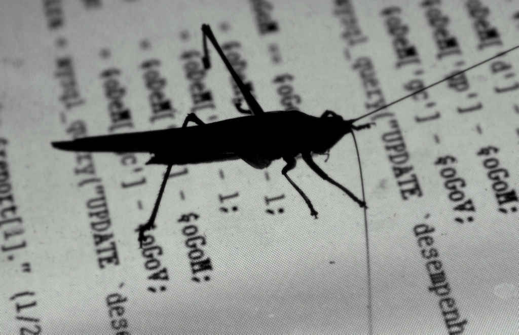 Vagrant Remote Php Cli Debugging With Phpstorm